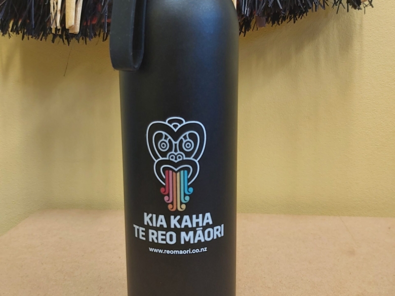 Palmerston North City Library | Te Matatini 2025